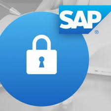 Vulnerability in SAP Java – SAP Technology & SAP Security ...